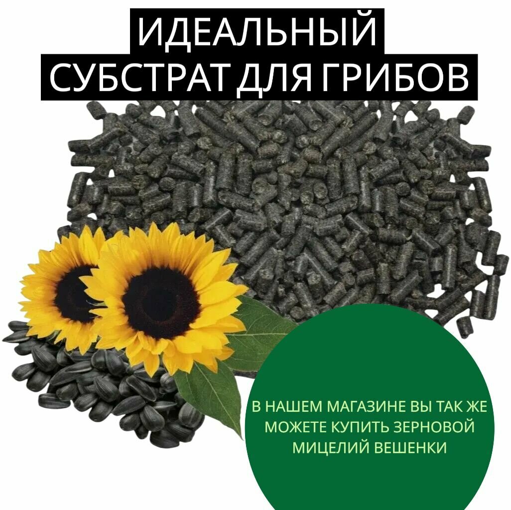 Субстрат для выращивания грибов, без мицелия 1 кг