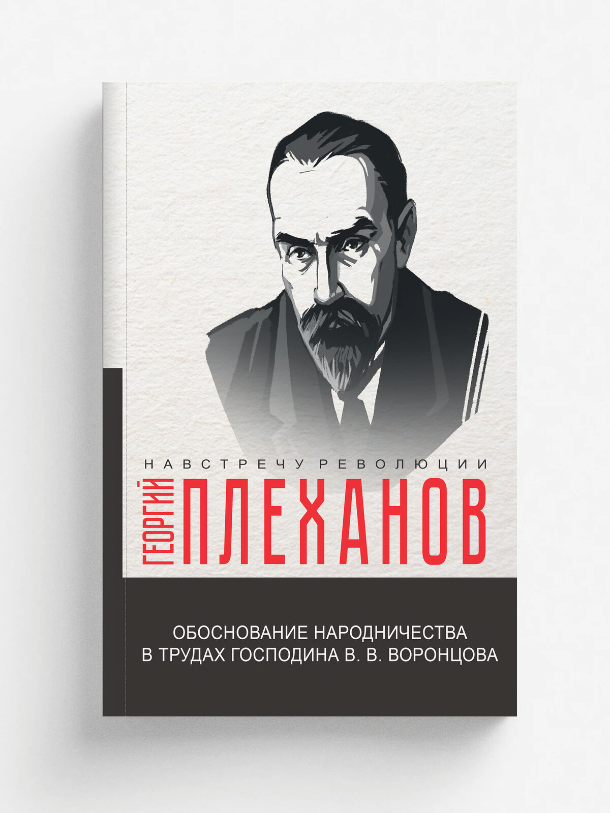 Обоснование народничества в трудах господина В. В. Воронцова