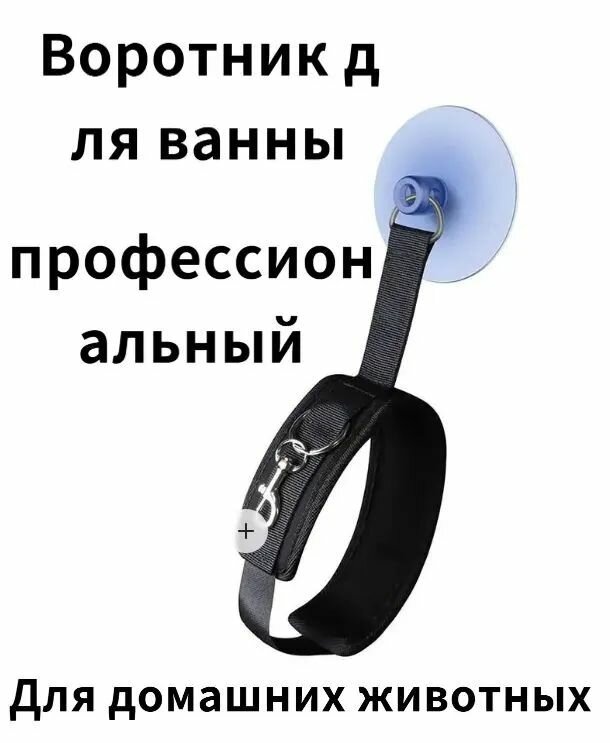 Универсальный поводок для купания кошек и собак, присоска для купания домашних животных, фиксированный ошейник