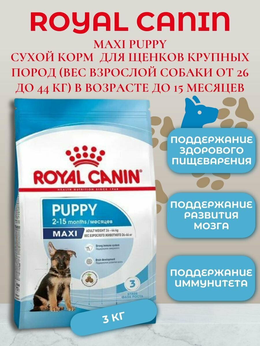 Royal Canin Корм сухой для щенков крупных пород (вес взрослой собаки от 26 до 44 кг) в возрасте до 15 месяцев Maxi Puppy, Макси Паппи, 3кг