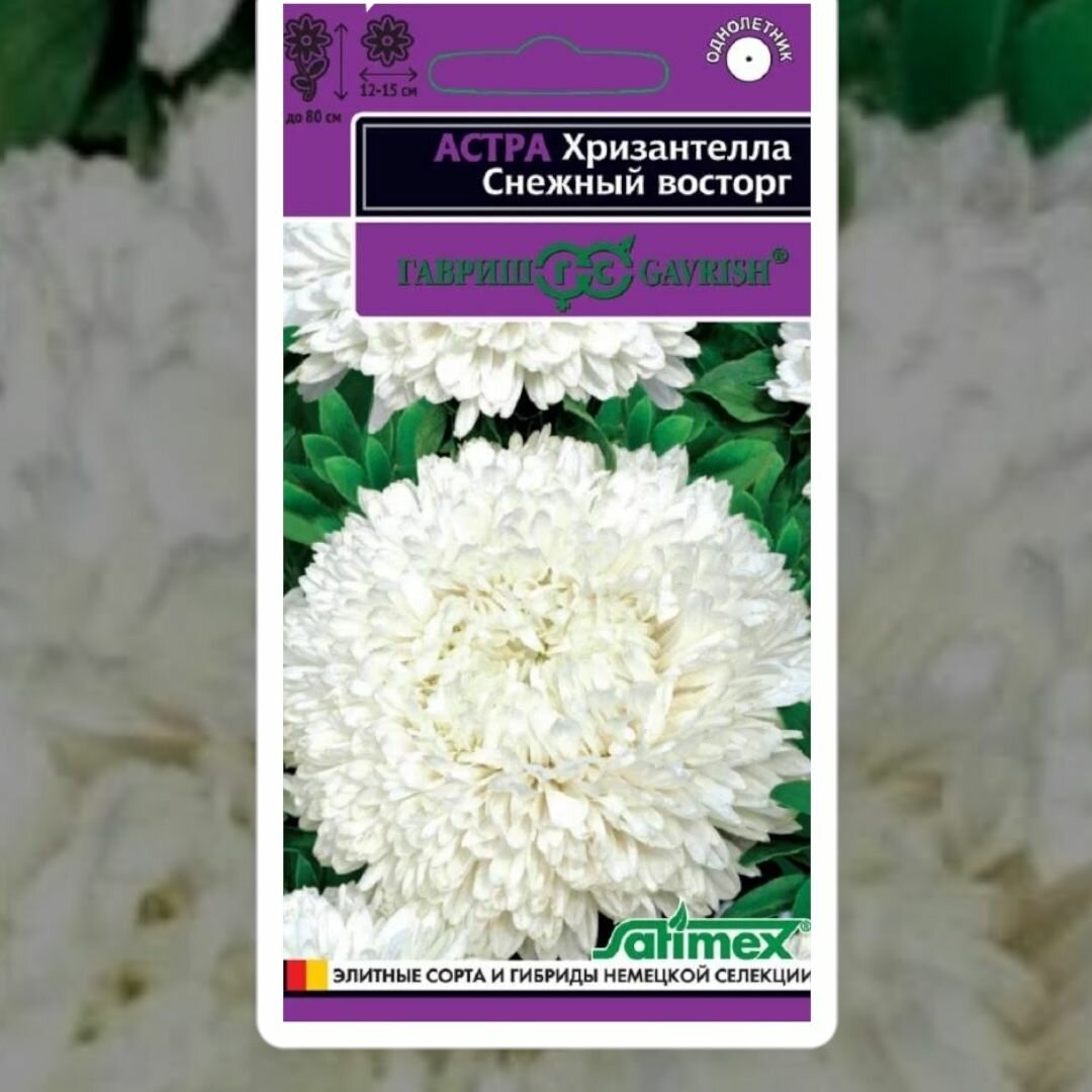 Астра Хризантелла Снежный восторг цв. п 0,05г Гавриш