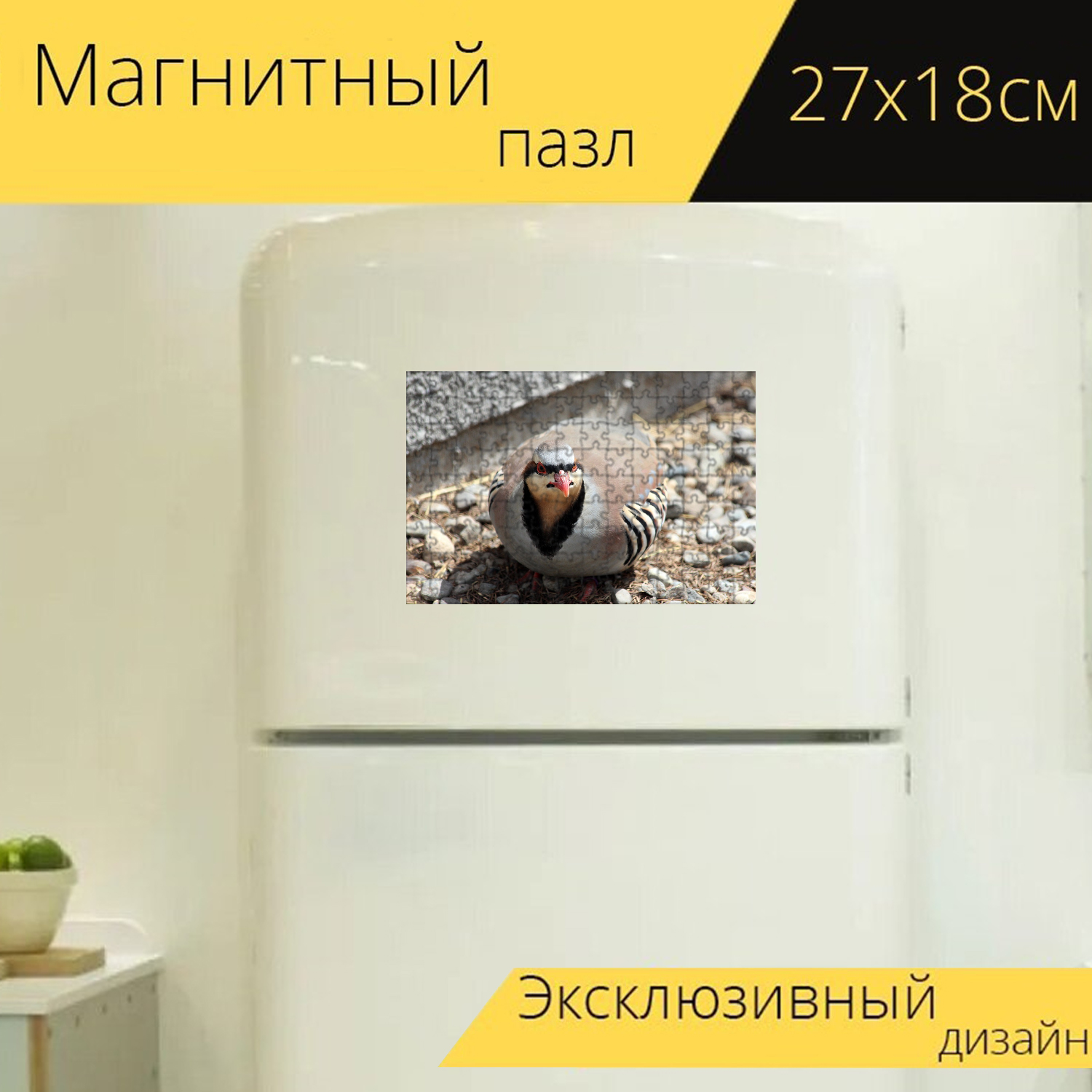 Магнитный пазл "Кеклик, каменная куропатка, alectoris graeca" на холодильник 27 x 18 см.