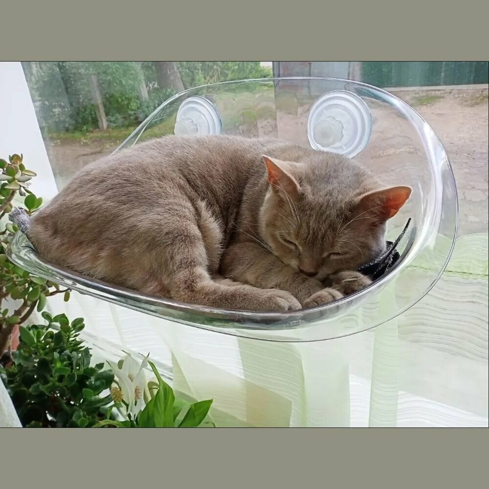 Прозрачный гамак на окно для кошек