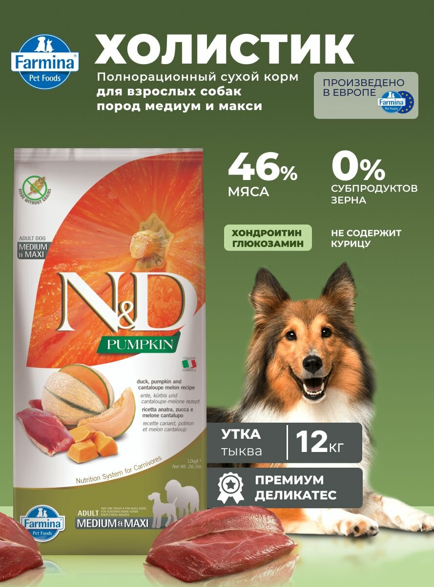Сухой корм для взрослых собак Медиум Макси 12кг Утка беззерновой Farmina Н&Д Pumpkin Тыква с уткой и дыней