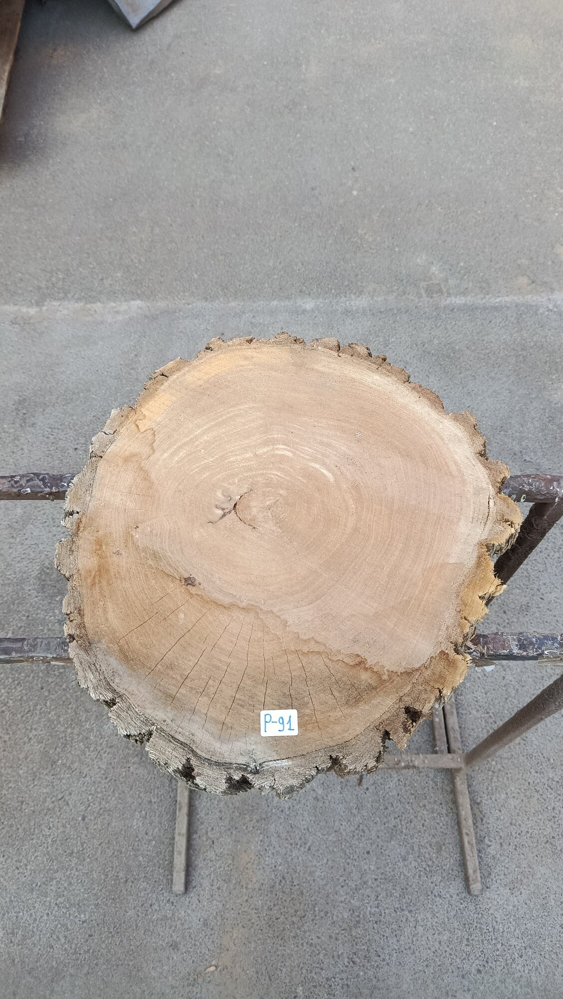 Спил из карагача 45х38х5,5см (Р91) высушенный не фрезерован, влажность 8-10%