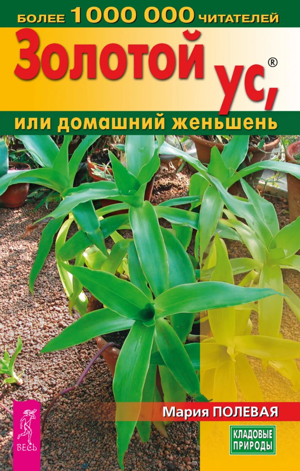 Золотой ус, или домашний женьшень [Цифровая книга]