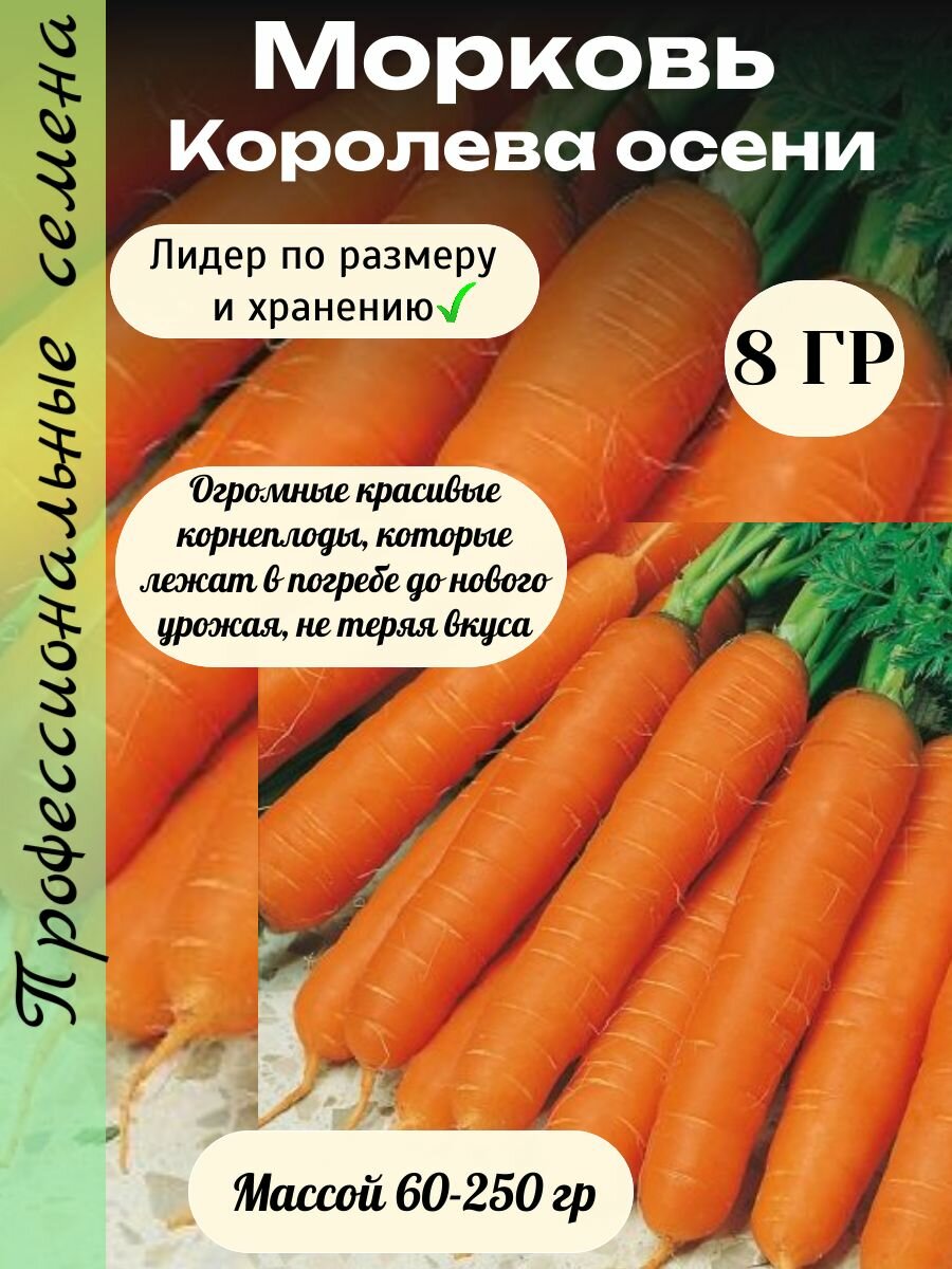 Семена Морковь Королева осени 8гр