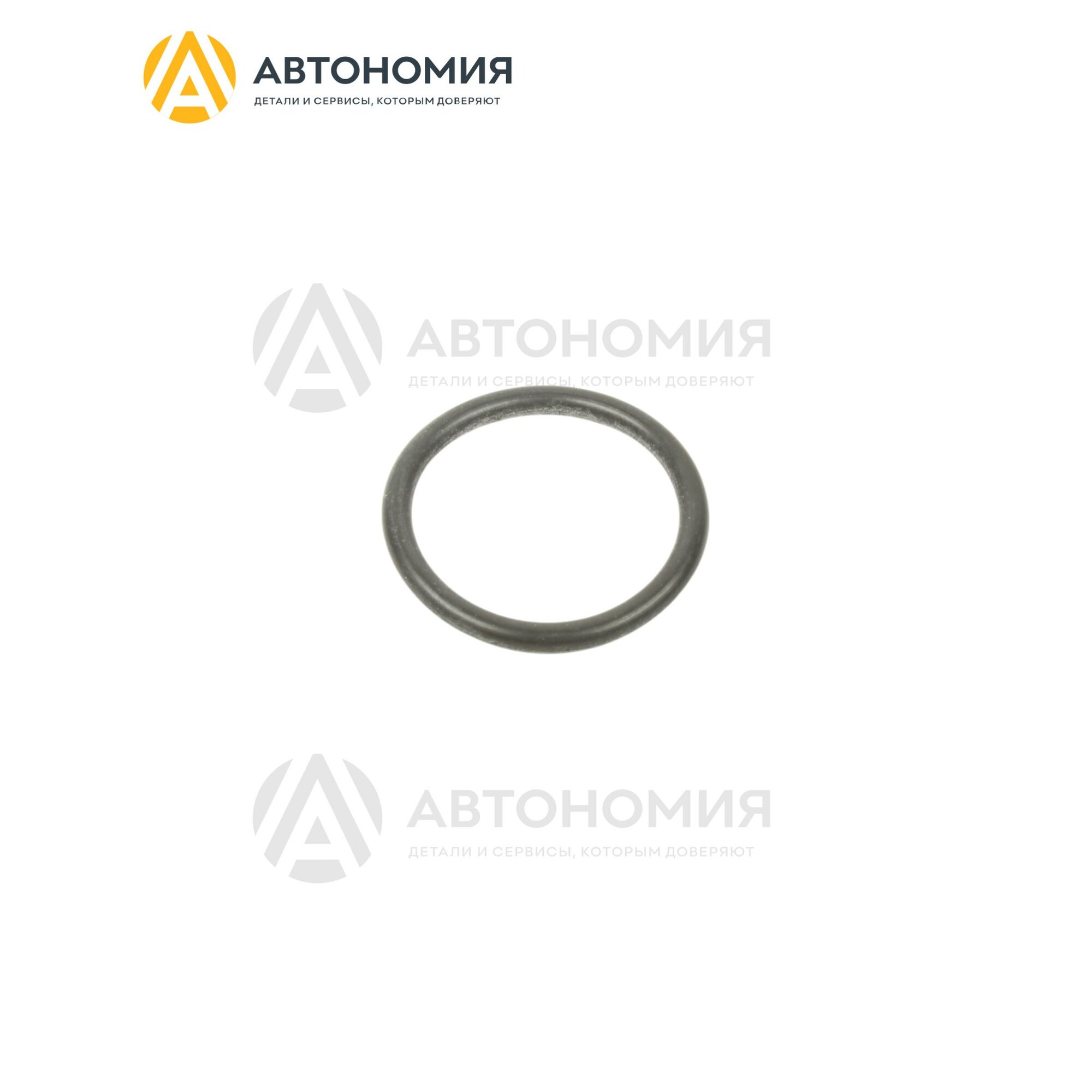 Кольцо уплотнительное PSA Peugeot Citroen 16 089 517 80