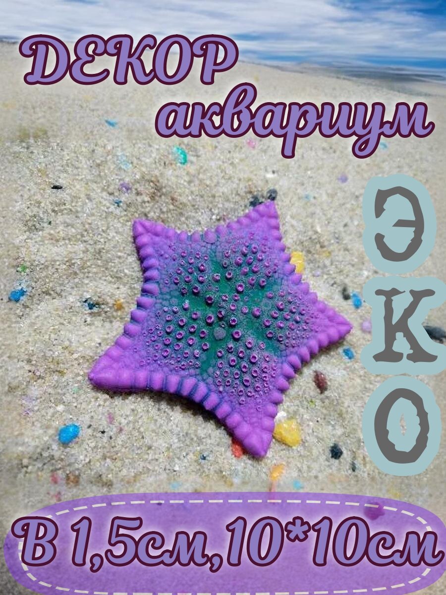 Звезда "Печенька" коралл ЭКО, для аквариума, натуральный вид, эко коралл, 10х10 см