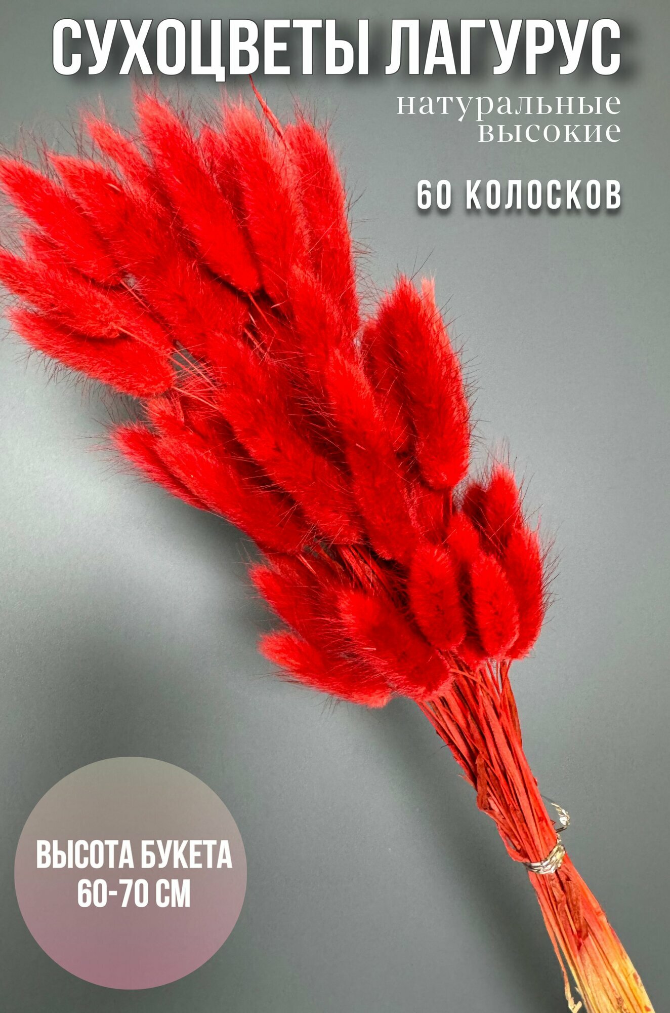 Лагурус сухоцвет для декора зайцехвост