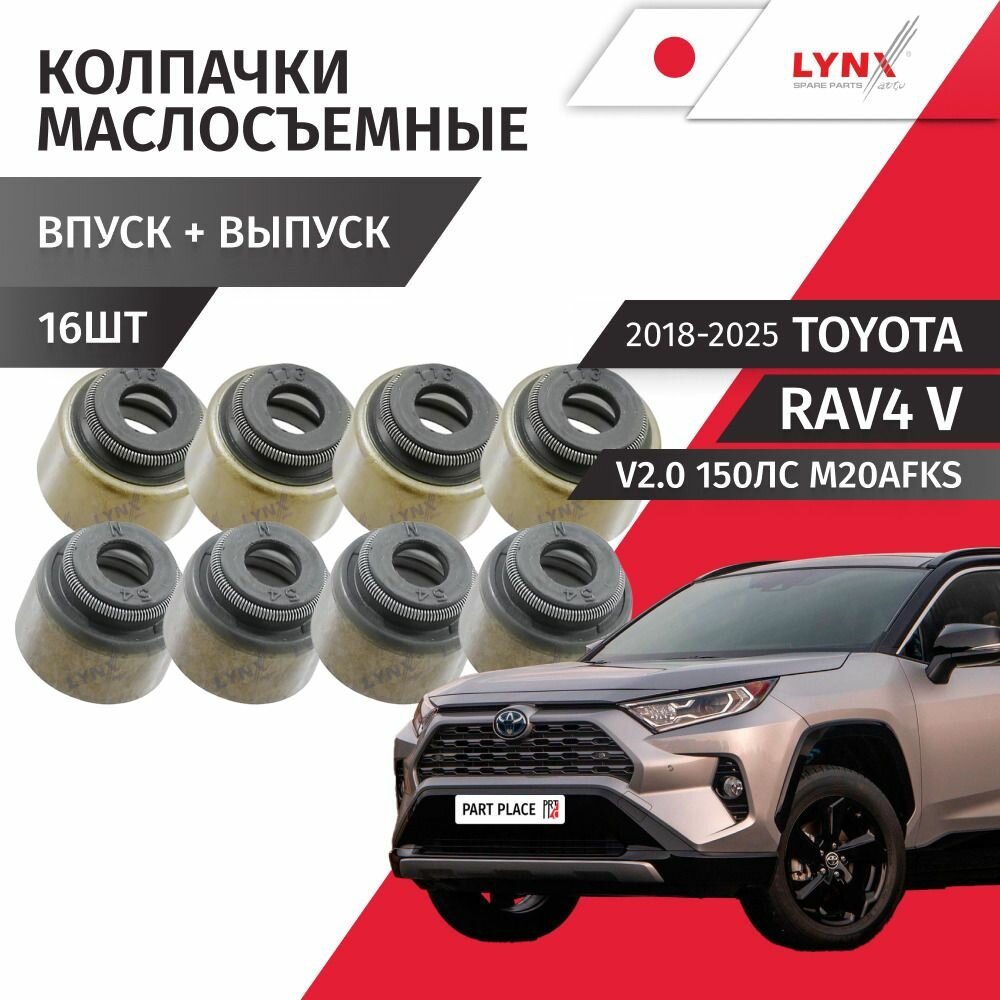 Колпачки маслосъемные Toyota RAV4 (5) MXAA54 V2.0 150лс M20AFKS 2018 - 2025, Комплект 16 шт LYNXauto