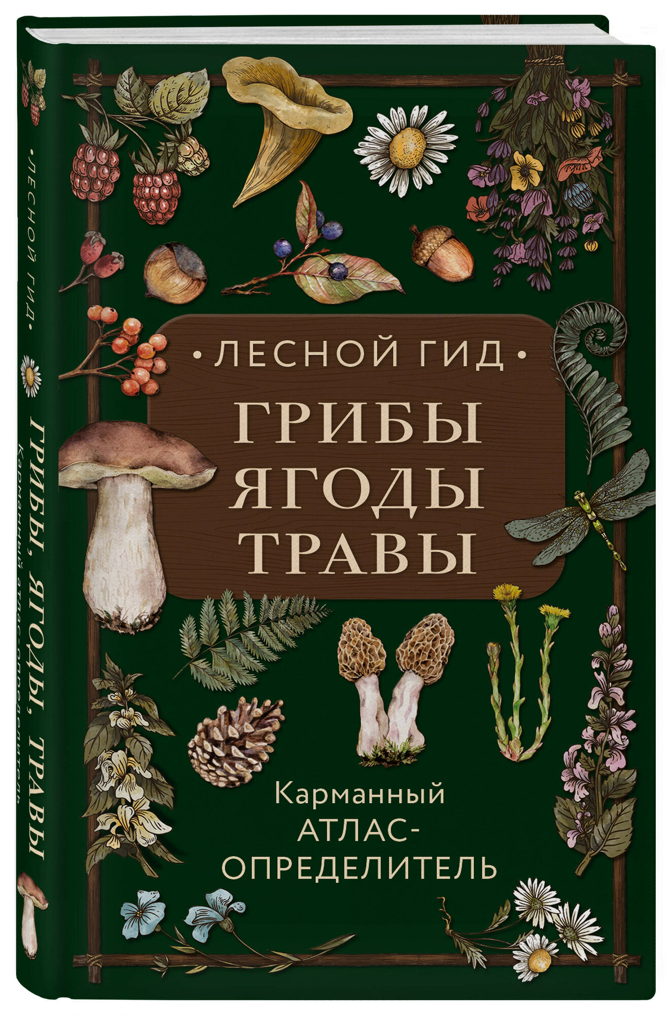Семенова Л. С. Лесной гид: грибы, ягоды, травы. Карманный атлас-определитель