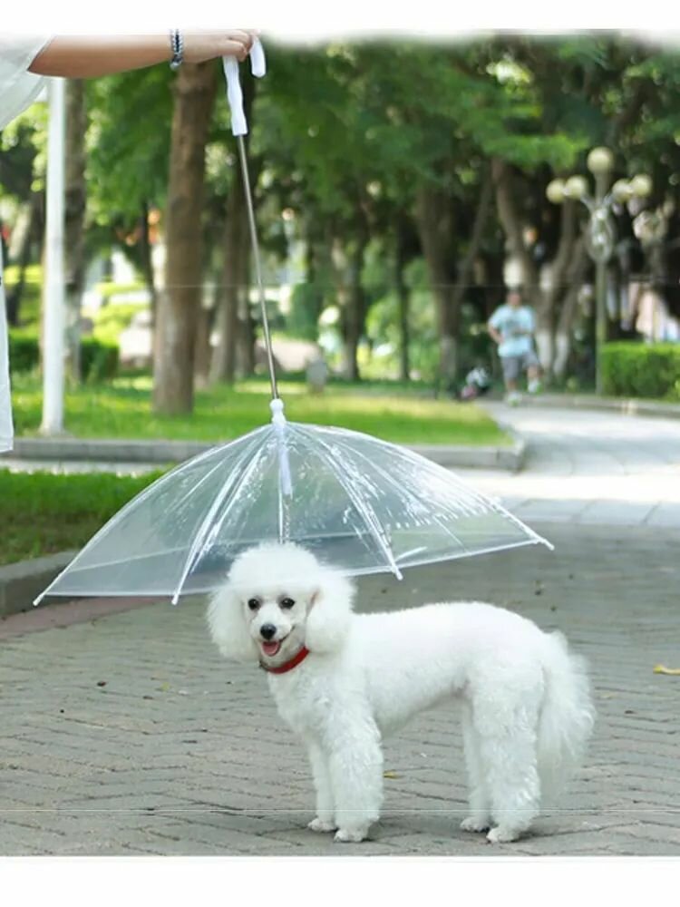 Фурнитура для ошейников и поводков