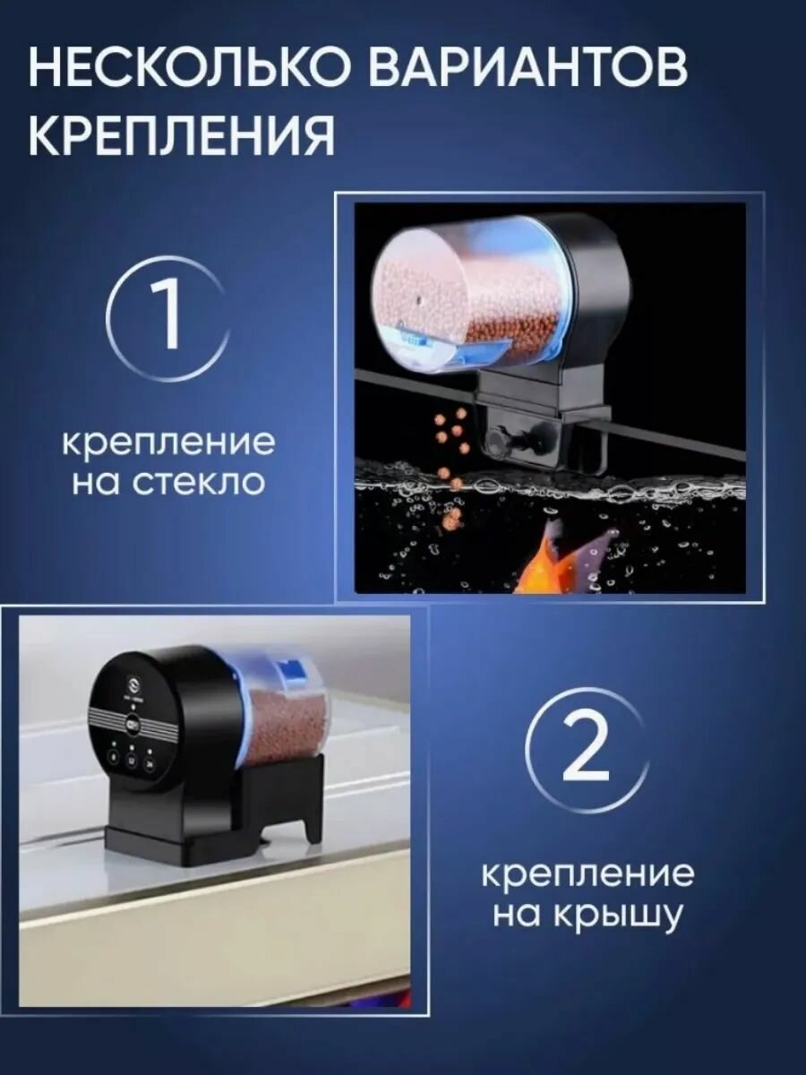 Автокормушка — фото 1