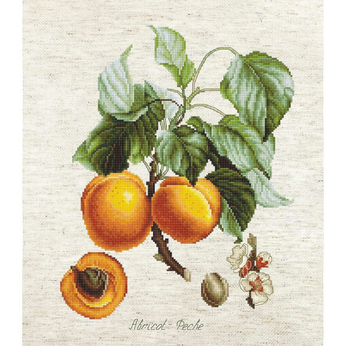 Набор для вышивания крестиком 'Персики', 19,5*25 см, на бежевой канве, Luca-S