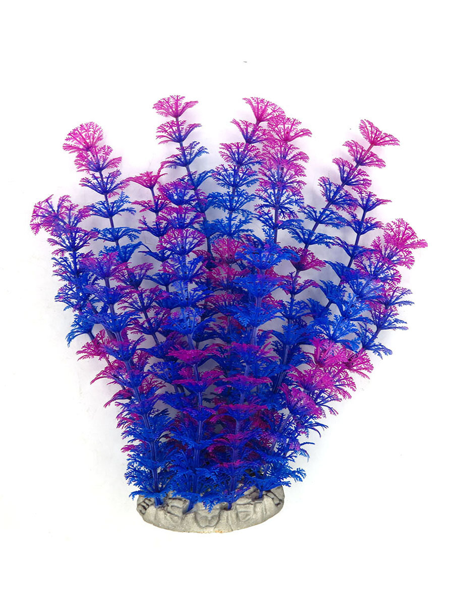 Растение искусственное Aquanimal для аквариума и террариума "Перистолистник пурпурный" 8.5x6x25см