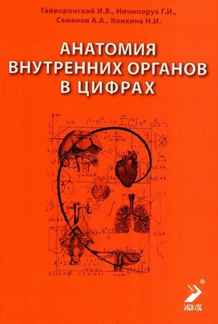 Анатомия внутренних органов в цифрах