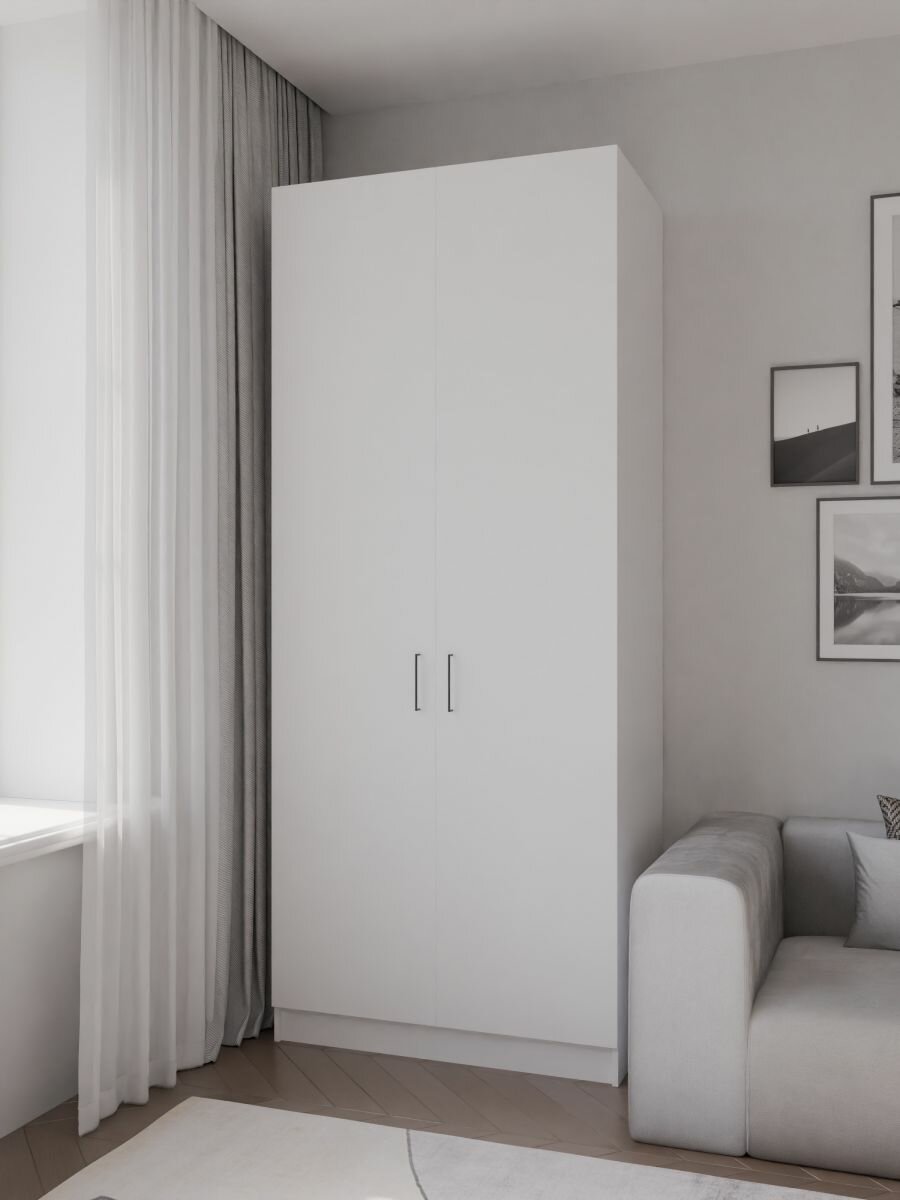 Шкаф распашной для одежды пакс (PAX IKEA) 100х58х236 см, комбинация 10