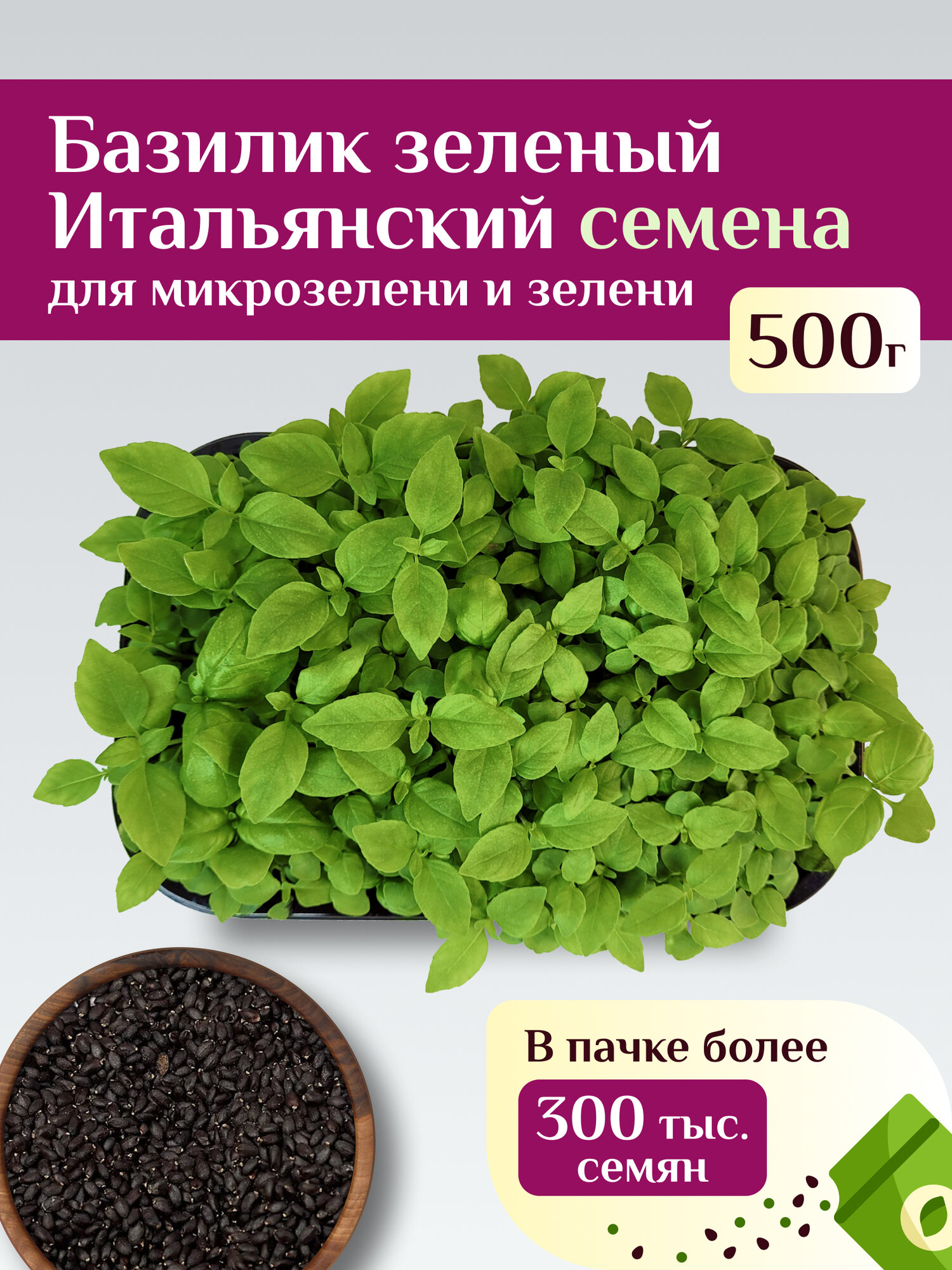 Базилик зеленый Итальянский семена микрозелени и зелени, Ильинские проростки 500г