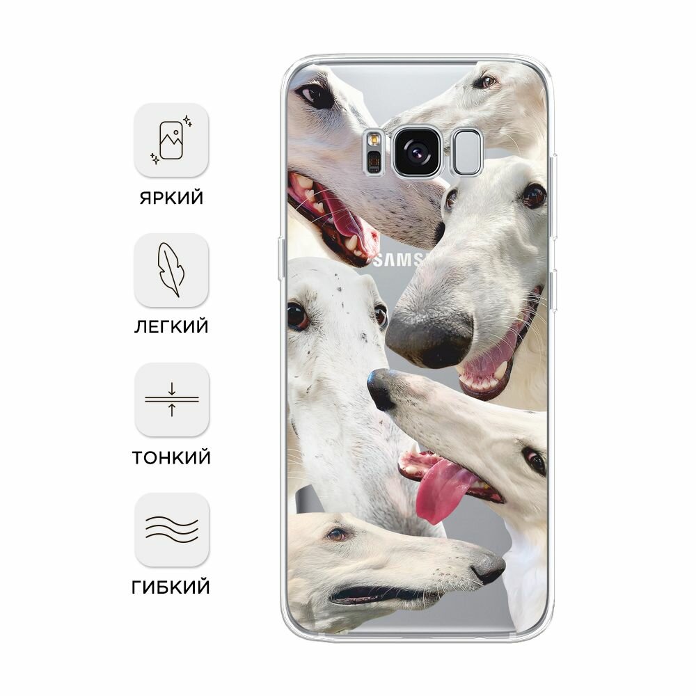 Чехол на Samsung Galaxy S8 / Самсунг Галакси С8 с принтом Собака с длинным носом, прозрачный — фото 1