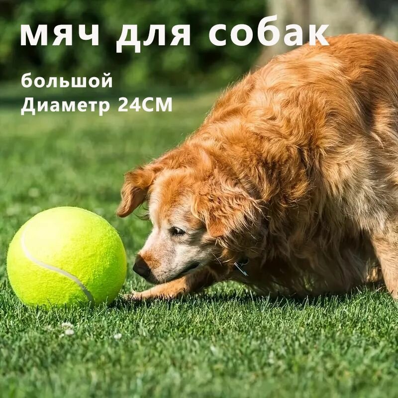 Игрушка для собак теннисный большой мячик 24 см