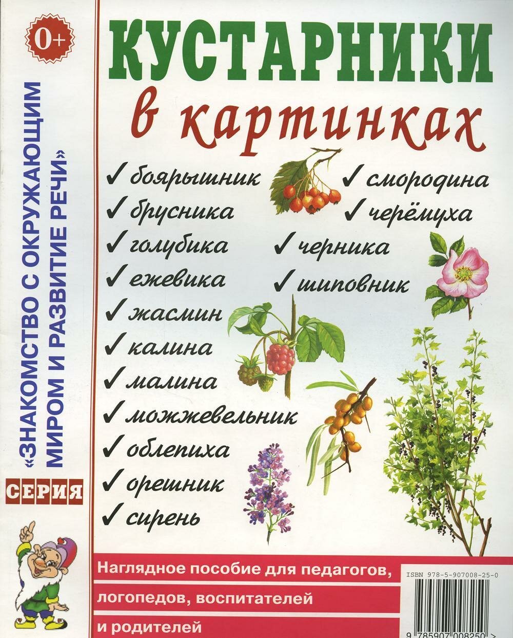 Кустарники в картинках Наглядное пособие для педагогов, логопедов, воспитателей и родителей. Гном