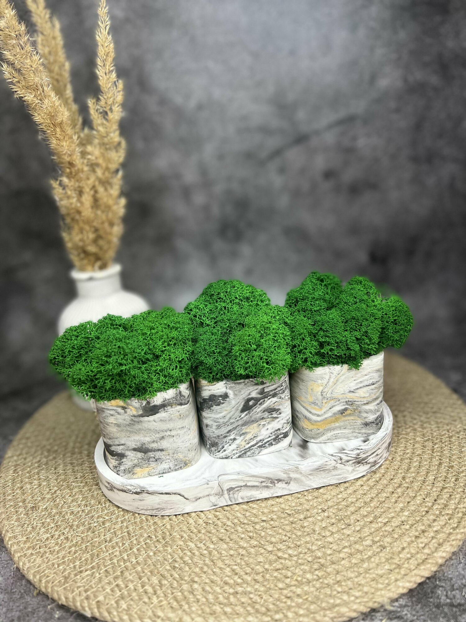 Кашпо мини со стабилизированным мхом, набор кашпо 3 шт с подставкой, декоративное кашпо, интерьерное, гипсовый декор, подарочный набор