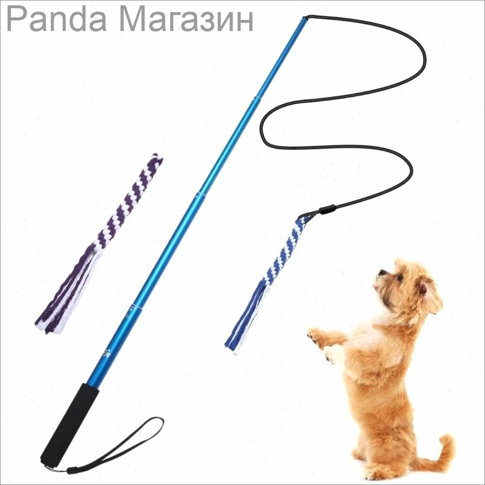 Удочка-дразнилка выдвижная для собак, Bentfores (синий/фиолетовый, 33178)