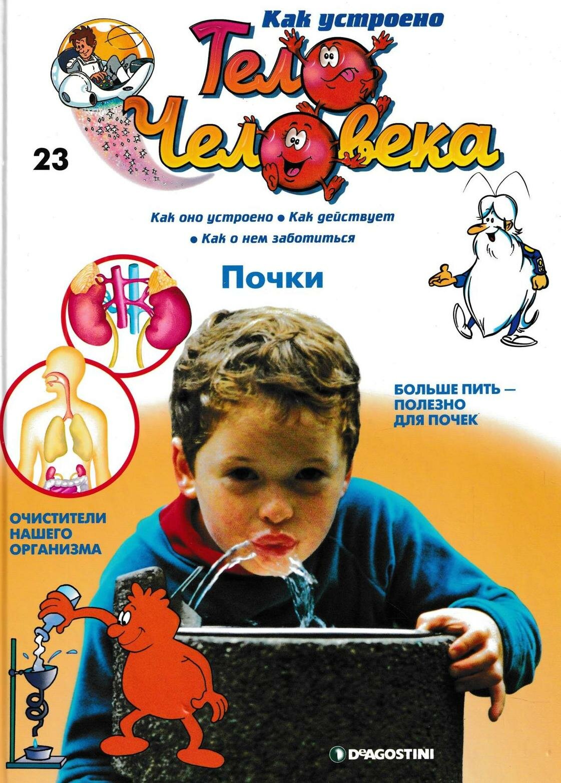 Как устроено тело человека. Выпуск 23. Почки