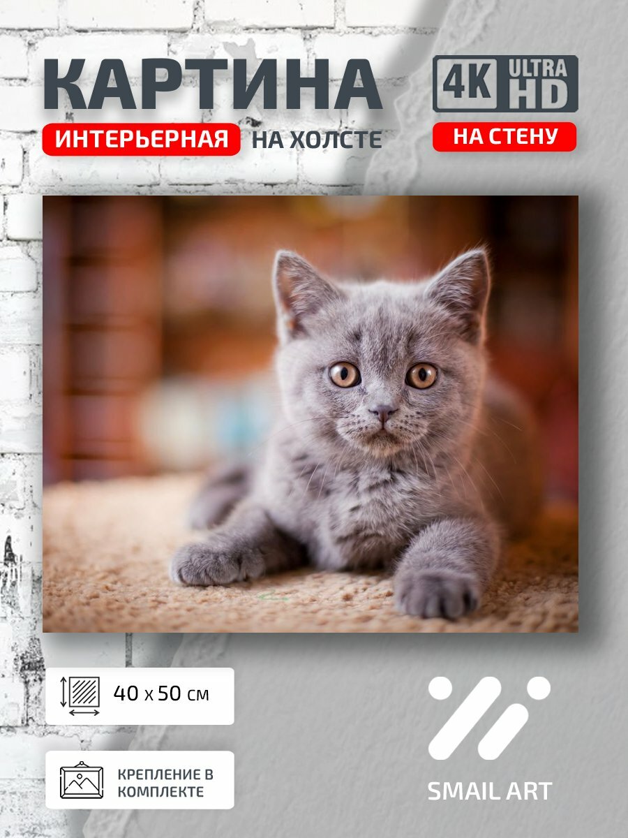 Картина на холсте интерьерная 40 на 50 на стену Мордочка Animal для кабинета animal style