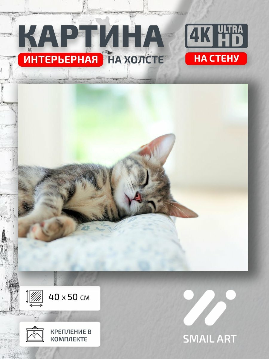 Картина на холсте интерьерная 40 на 50 на стену Уши Animal для кабинета animal style декор