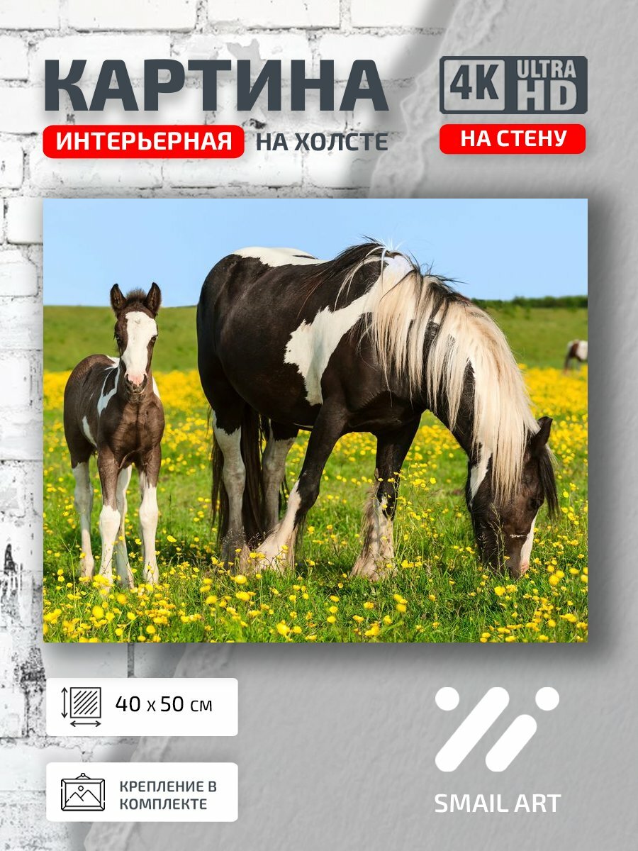 Картина на холсте интерьерная 40 на 50 на стену Пастбище Landscape для офиса пейзаж декор