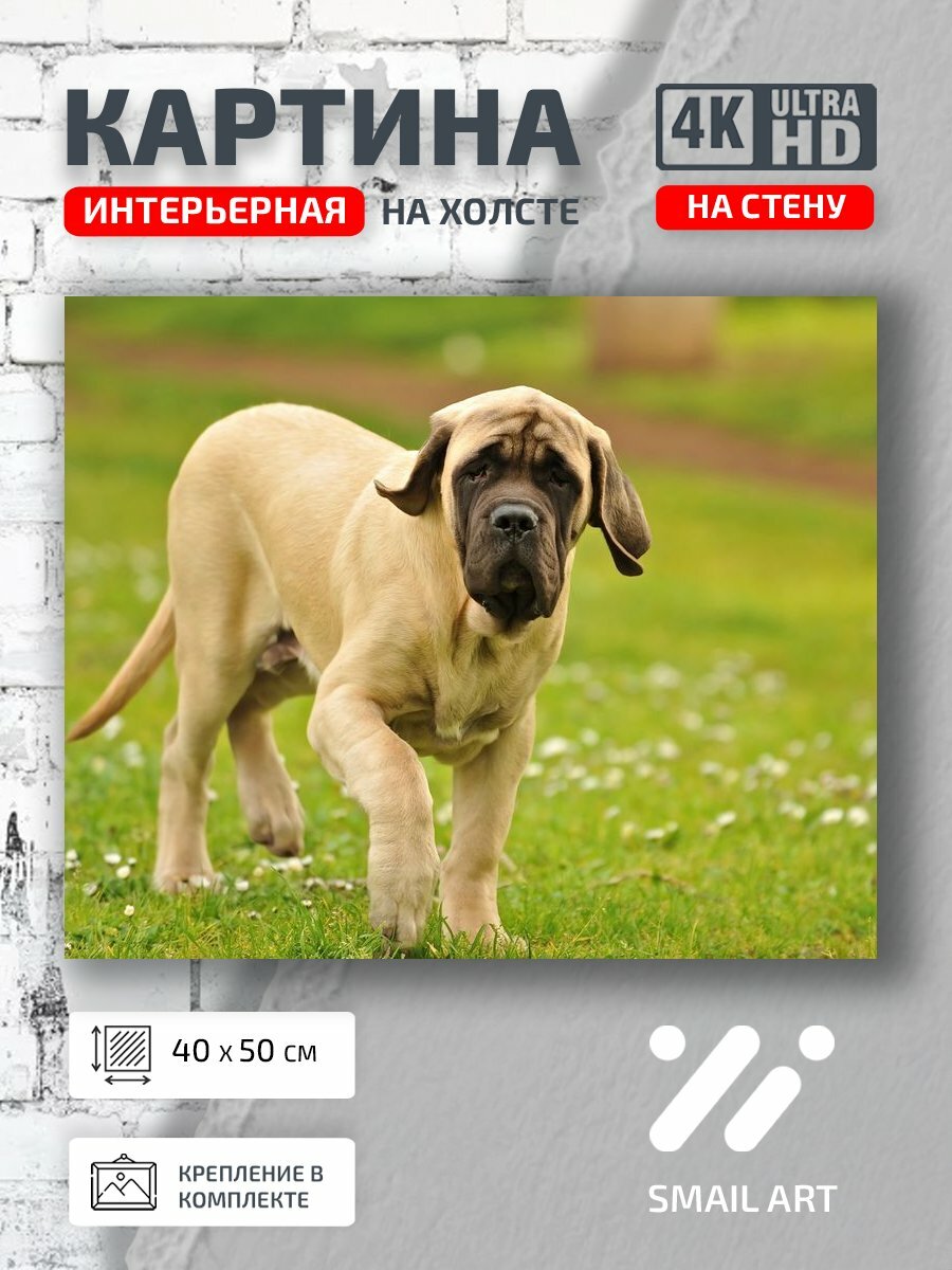 Картина на холсте интерьерная 40 на 50 на стену Поляне Animal для кафе animal style декор