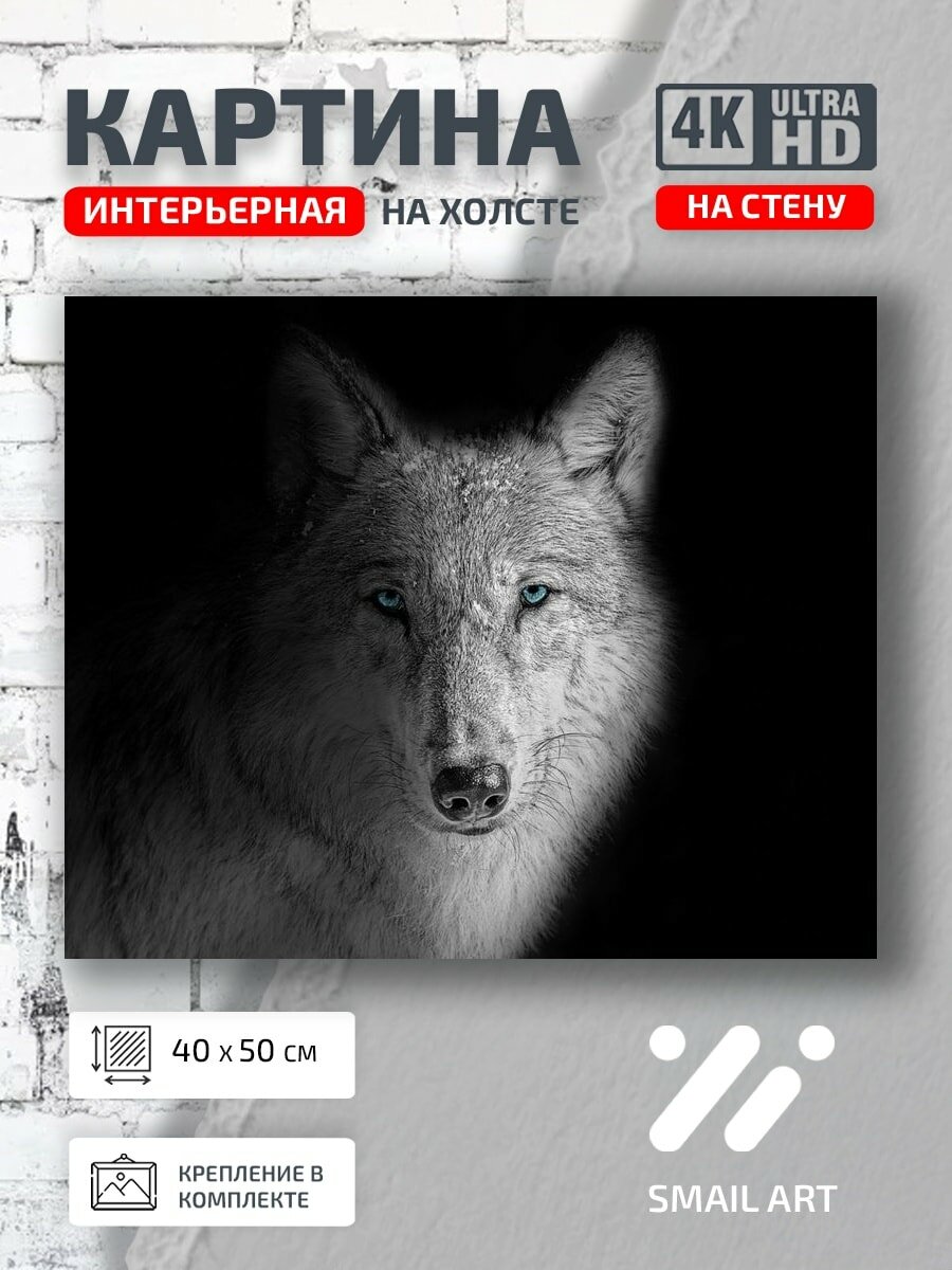 Картина на холсте интерьерная 40 на 50 на стену Волк Зверь для кабинета атмосфера