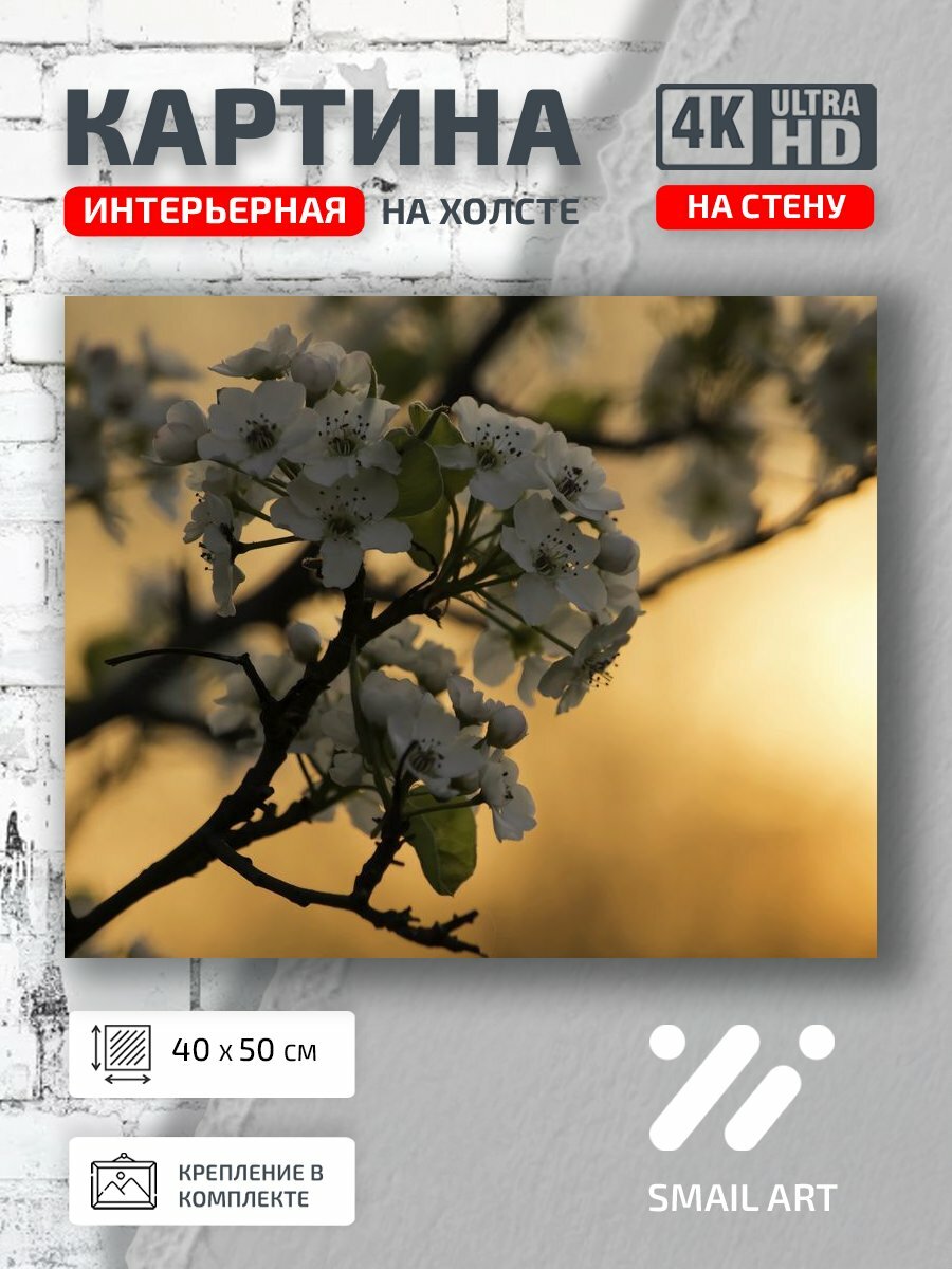 Картина на холсте интерьерная 40 на 50 на стену Закат Mood для кабинета атмосфера интерьер