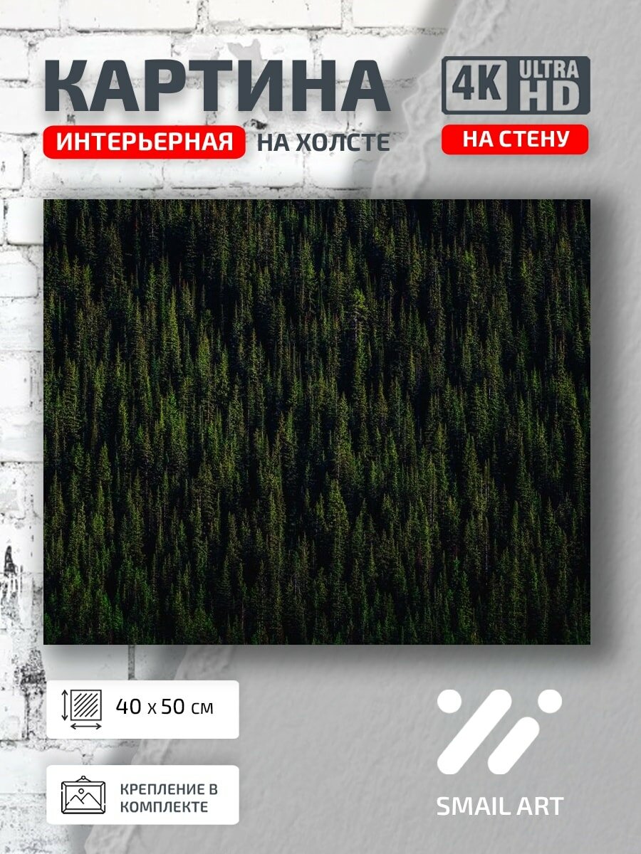 Картина на холсте интерьерная 40 на 50 на стену Сосновый лес для спальни пейзаж