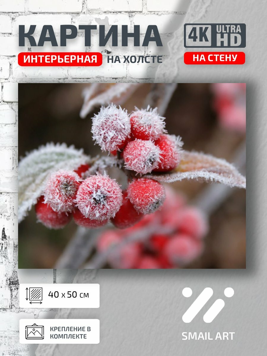 Картина на холсте интерьерная 40 на 50 на стену Зима Landscape для кафе пейзаж интерьер