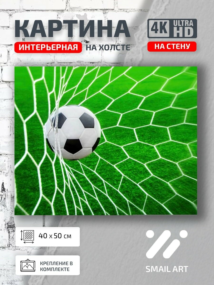 Картина на холсте интерьерная 40 на 50 на стену Сетка ворот для студии атмосфера