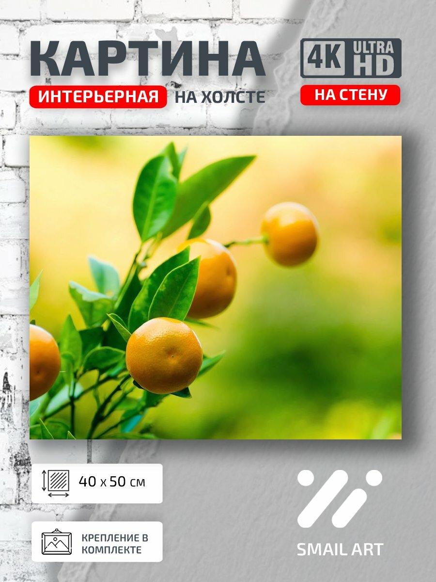 Картина на холсте интерьерная 40 на 50 на стену Цитрус Landscape для спальни пейзаж декор