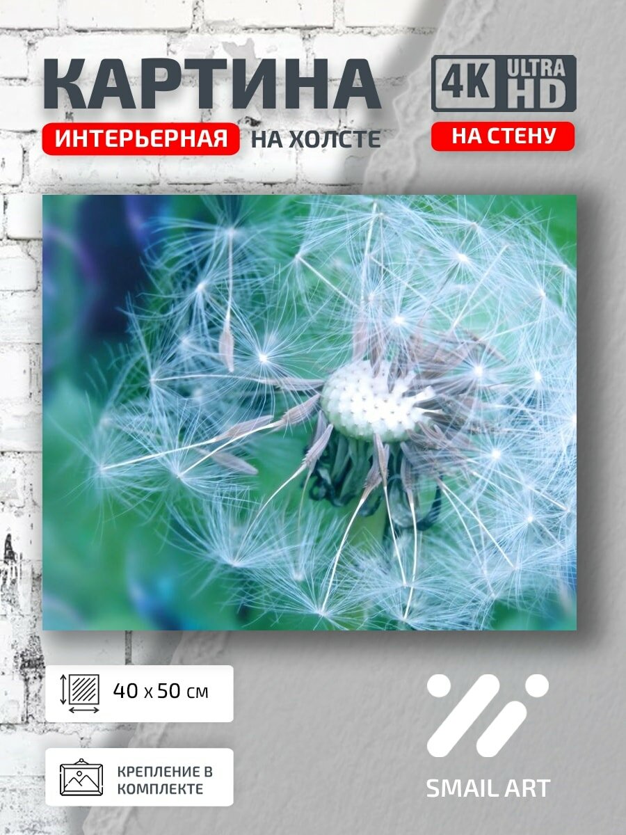 Картина на холсте интерьерная 40 на 50 на стену Природа Одуванчик для кафе пейзаж