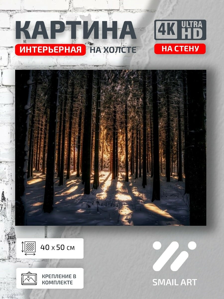 Картина на холсте интерьерная 40 на 50 на стену Ночной лес для офиса пейзаж