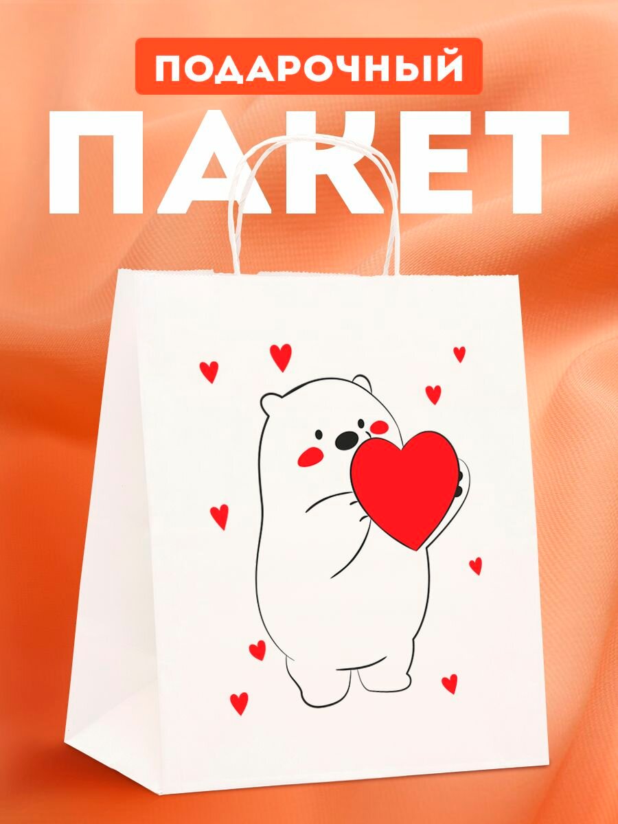 Пакет подарочный