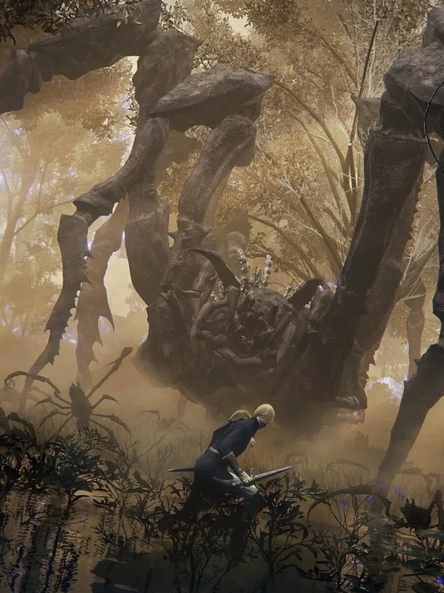 Elden Ring Nightreign (PS5, рус.) — фото 1