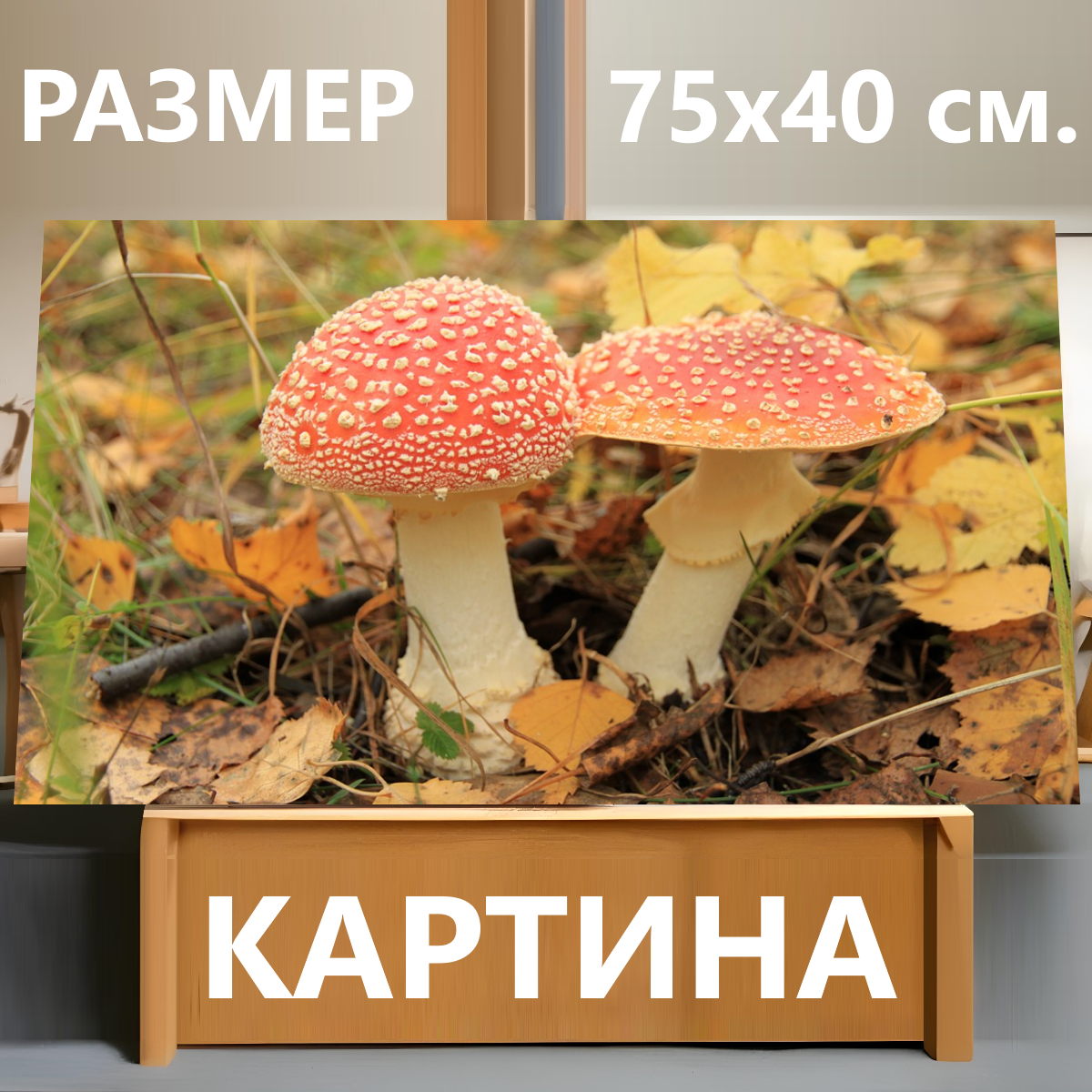 Картина на холсте "Мухомор, гриб, леса" на подрамнике 75х40 см. для интерьера