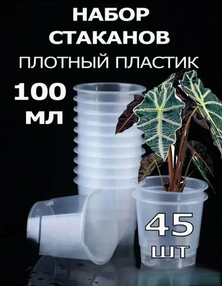 Стаканы одноразовые пластиковые, прозрачные 100мл для напитков, соков, рассады, черенков, суккулентов, фиалок