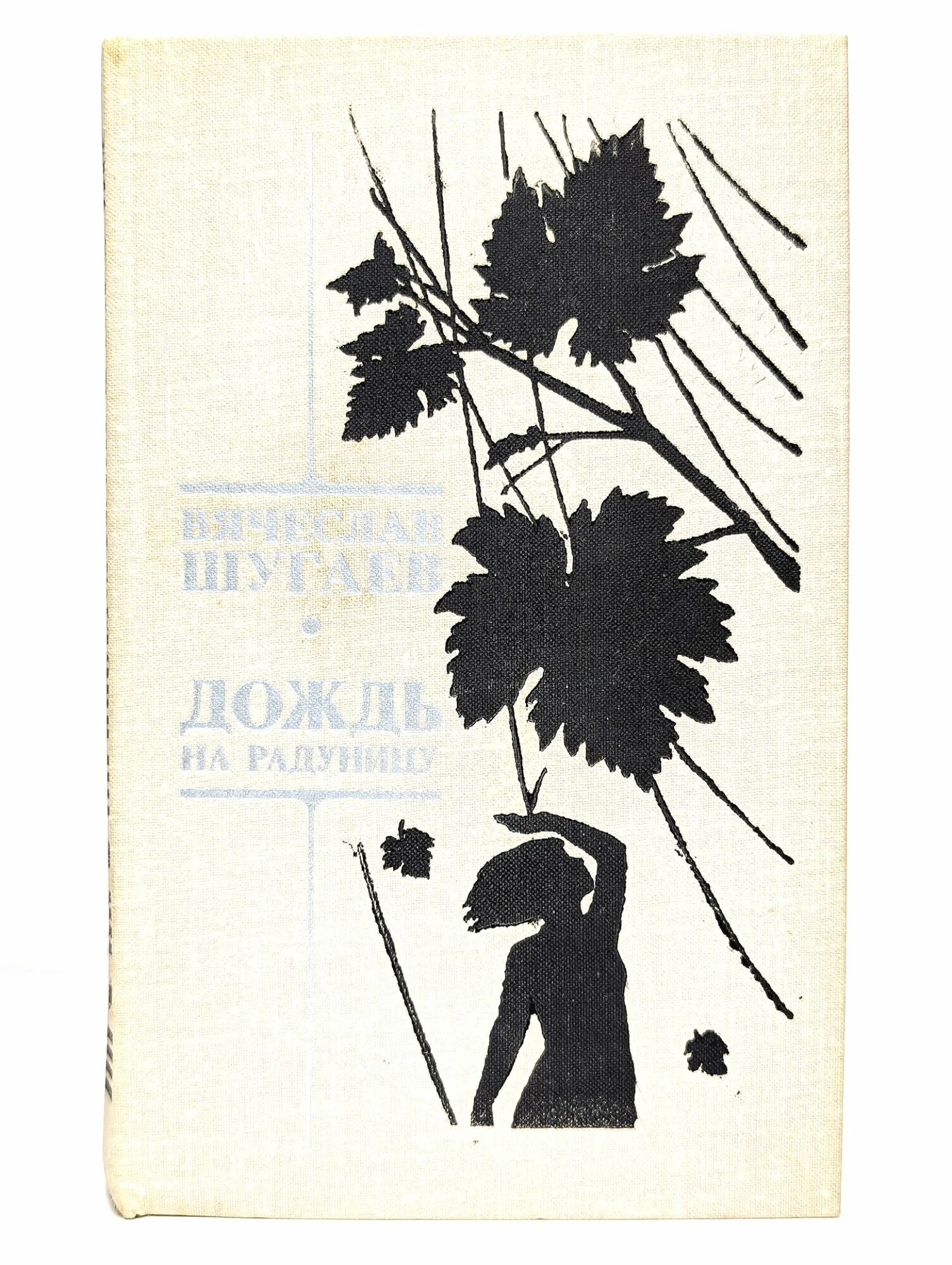 Дождь на Радуницу Шугаев Вячеслав Максимович 1978