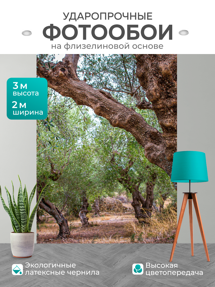 Фотообои моющиеся ударопрочные "Оливковая роща, оливковое дерево, природа" 200x300 см. флизелиновые на стену