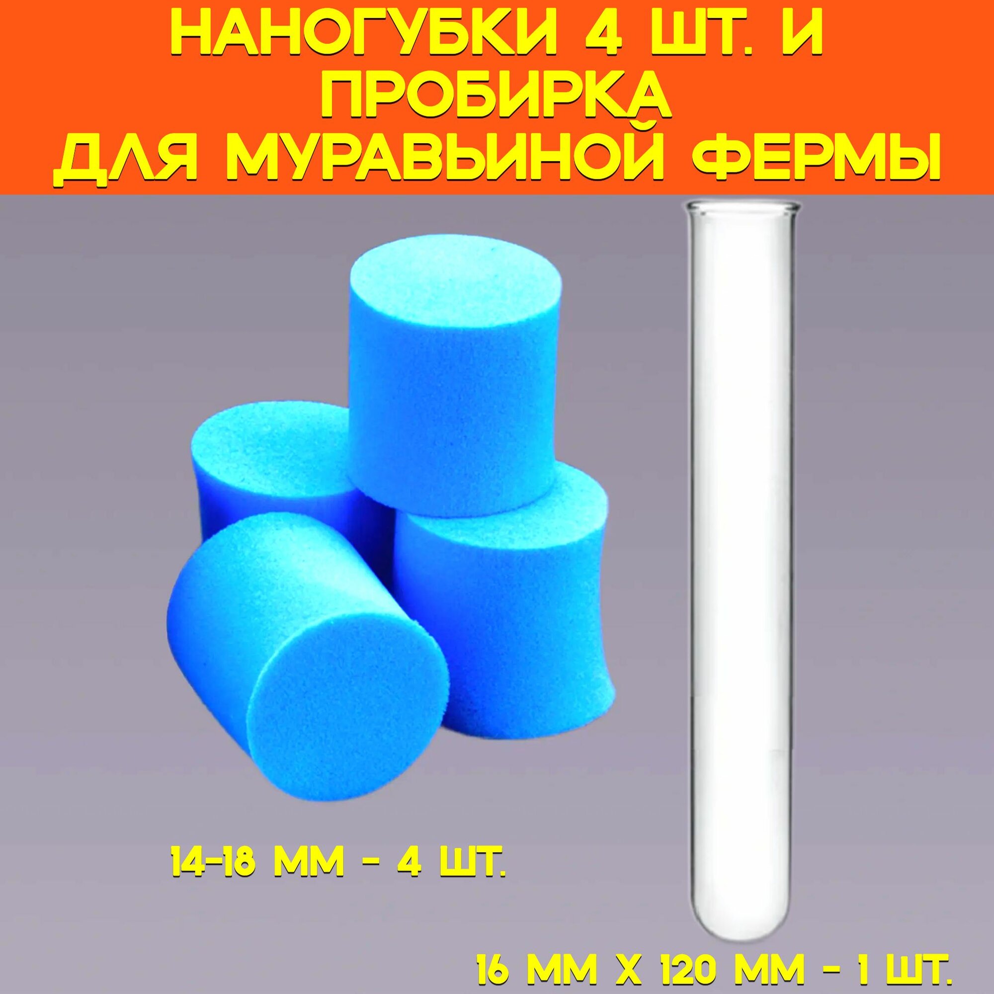 Муравьиная ферма