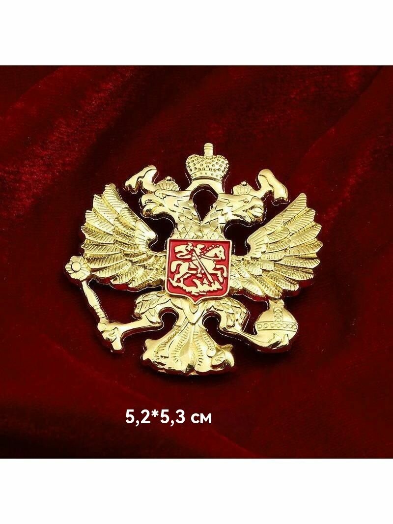 Российская патриотическая медаль, металлическая брошь