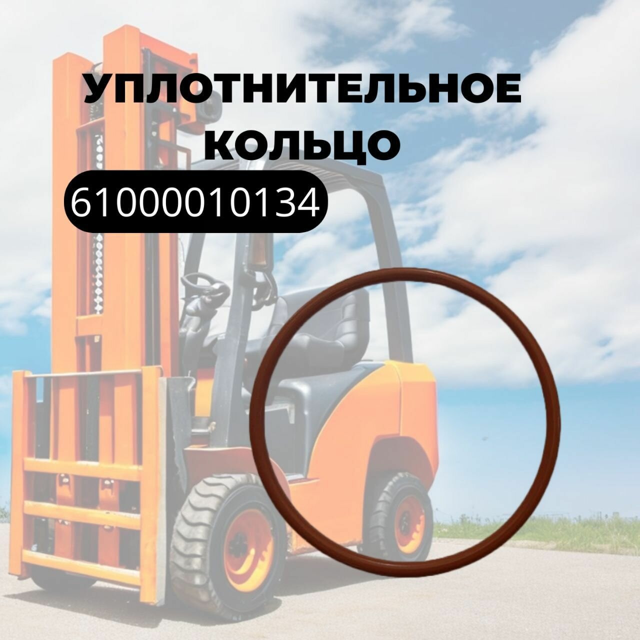 Уплотнительное кольцо 61000010134